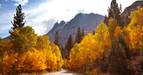 Best Times and Places to View Fall Foliage in Nevada in 2025
