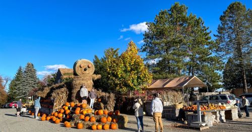 The Six Best Pumpkin Patches in New Hampshire