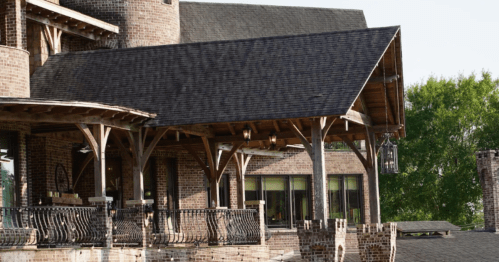The Tulips at Ruby Branch Farms in Kentucky are Stunning