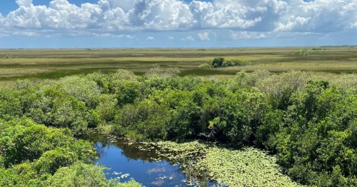 The 13 Best US National Parks