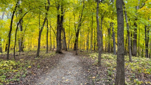 Here's A Prediction Map Of Peak Fall Foliage In Iowa