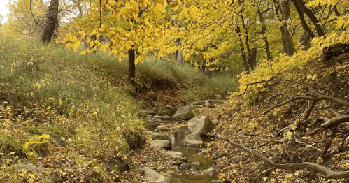 Fall Attractions and Activities in North Dakota