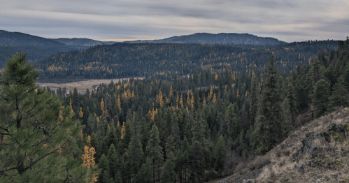 Heyburn State Park: Underrated State Park in Idaho With Stunning Fall ...