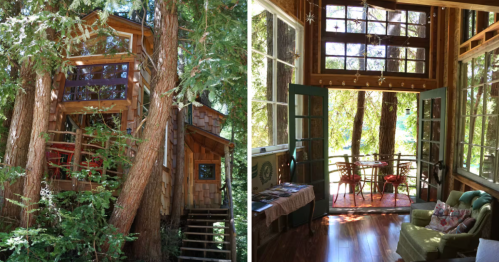 6 Best Cozy Cabin Treehouses in Northern California