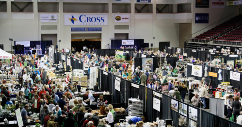 5 Maine Fall Festivals You Can’t Miss This Year