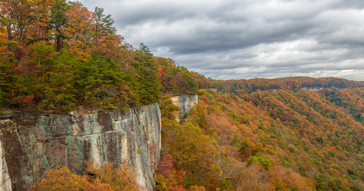 West Virginia Fall Bucket List: 14 Must-Do Activities