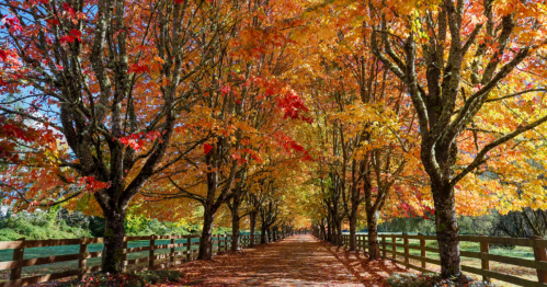 7 Charming Mountain Towns in Washington To Visit Before Fall Ends