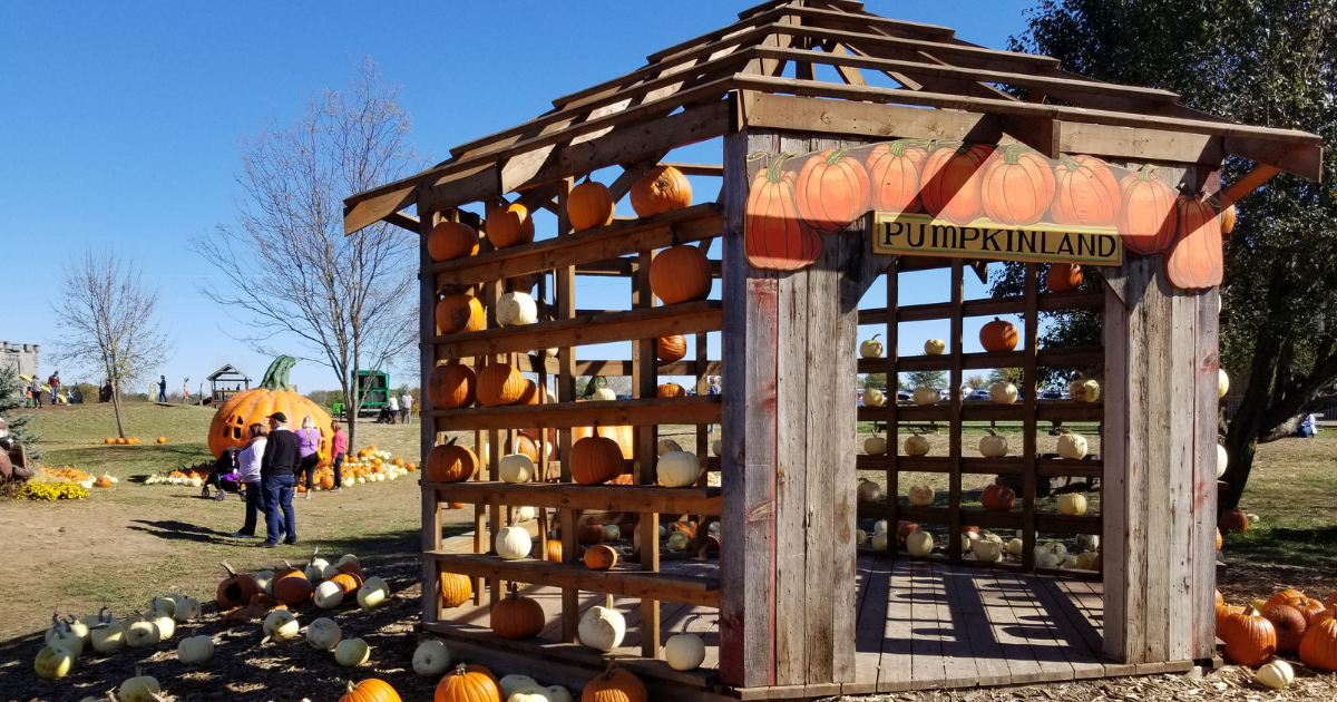 Roca Berry Farm: A Must-Visit Fall Festival in Nebraska