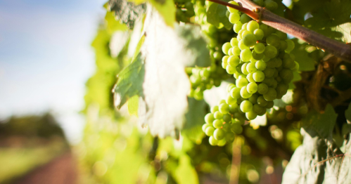 Fall Fun in Roca: A Small Town in Nebraska Worth Visiting