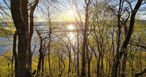 Pikes Peak State Park: Iowa's Hidden Gem for Stunning Fall Views