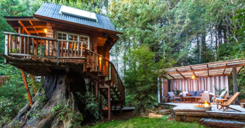 6 Best Cozy Cabin Treehouses in Northern California