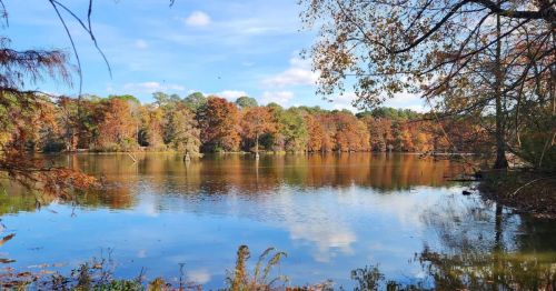 5 Best Places To See Fall Foliage in Delaware