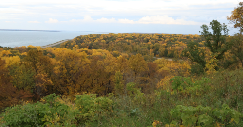 Fall Foliage in North Dakota 2025: Best Times and Spots