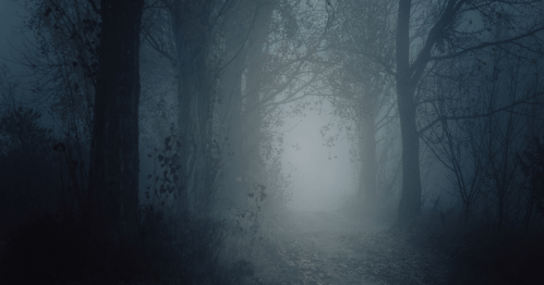 Do You Know About The Northwest Angle Exclave In Minnesota?