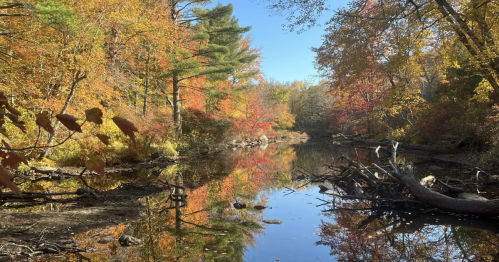 When and Where to See Peak Fall Foliage in Rhode Island