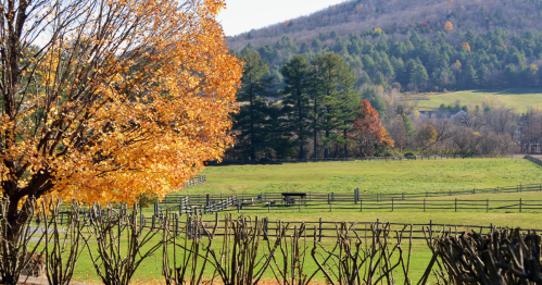 7 Amazing Fall Festivals In Vermont