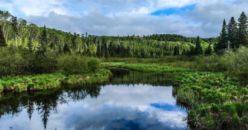 These 4 National Forest Hikes in Minnesota Rival Isle Royale NP