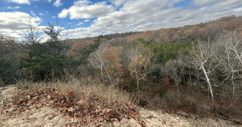 Dig For Quartz At The Unique Haunted Ridge Rocks In Missouri