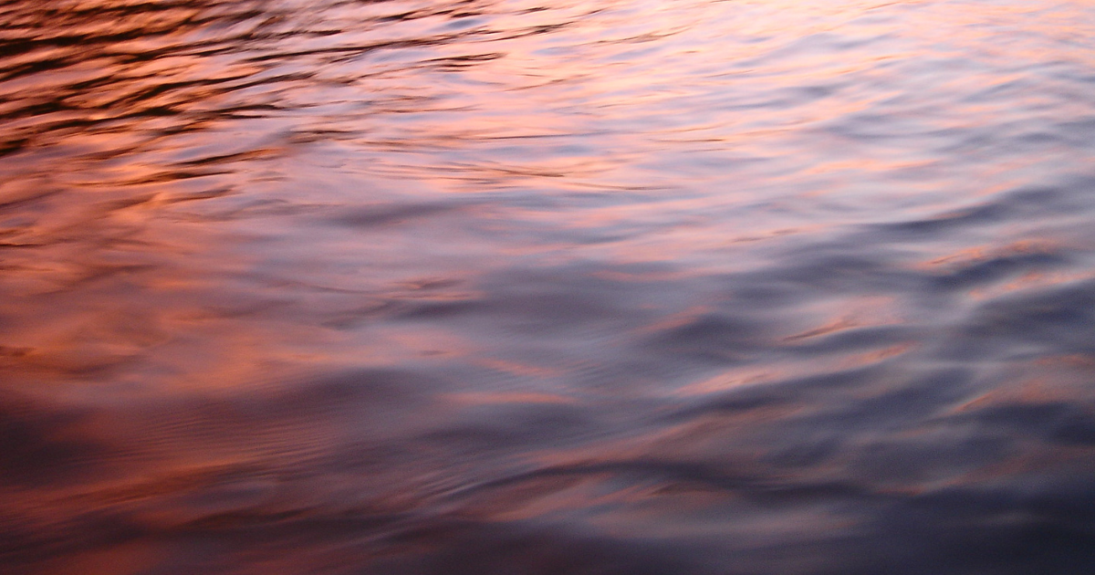 The Legend of Chessie: Maryland’s Sea Monster