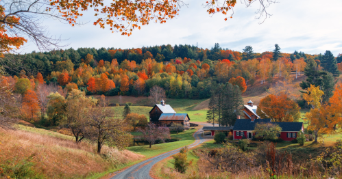 Best Times and Places to See Fall Foliage in Maine 2025