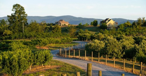 Best Small Town in Georgia to Visit in Fall: Ellijay