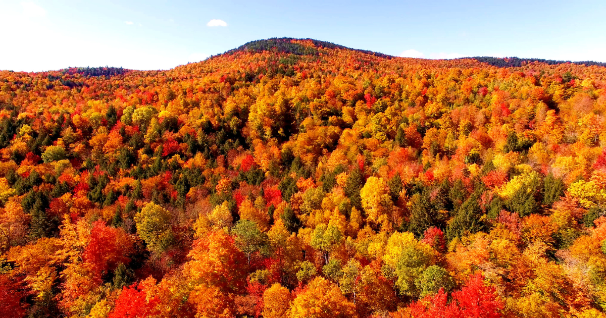 Best Times and Places to See Fall Foliage in Maine 2025