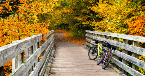 Charming Virginia Mountain Towns To Visit This Fall