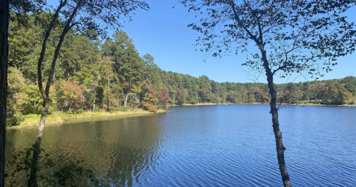 Best Times and Places to See Fall Foliage in Texas