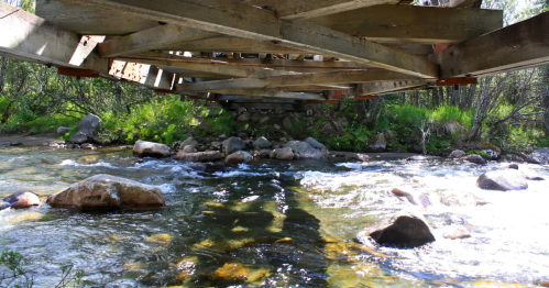 Alabama’s Most Famous Urban Legend: The Chilling Story of Hell’s Gate ...