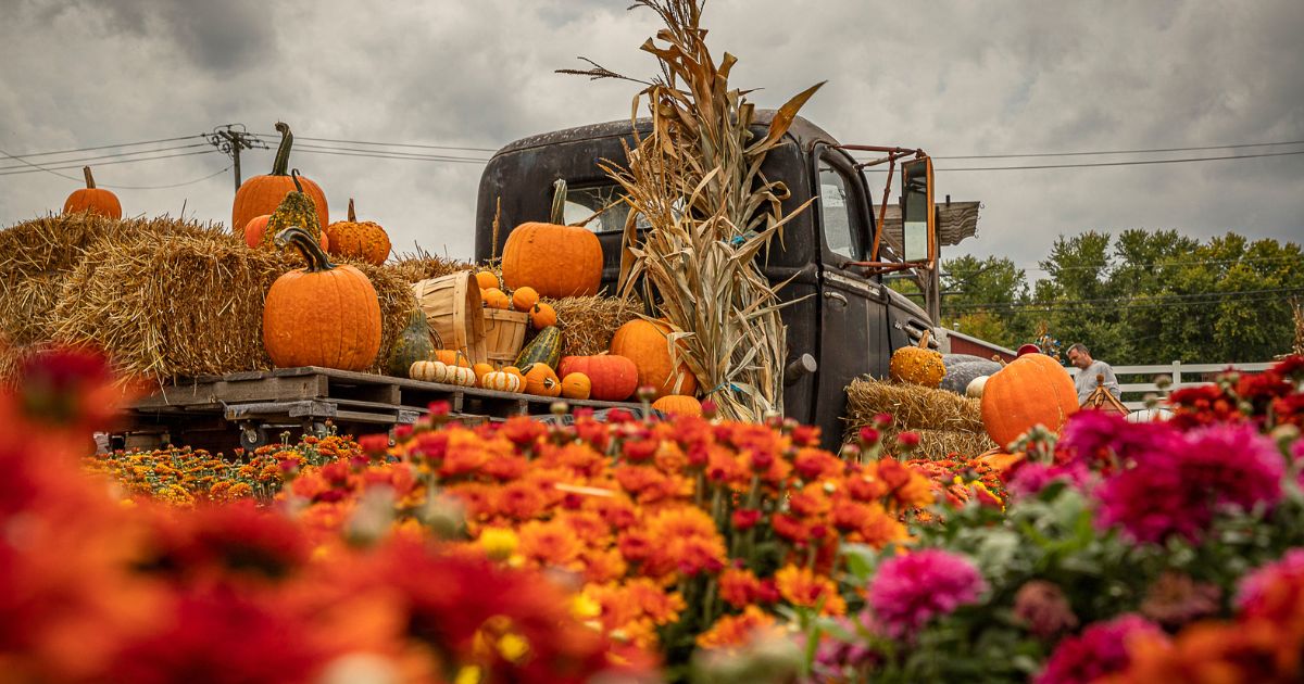 Best Fall Festivals in Arkansas That Are a Must-Visit in 2025
