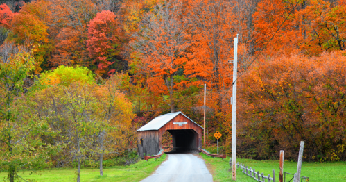 The 14 Best Things To Do In Vermont This Fall