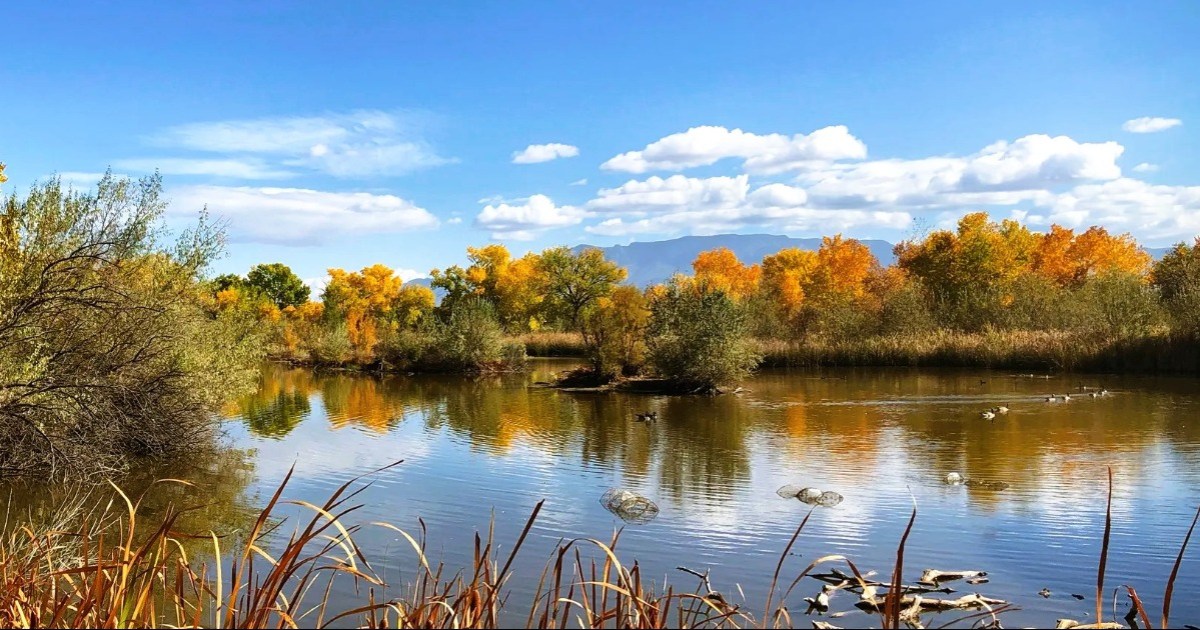 Rio Grande Nature Center State Park: Best State Park in New Mexico to ...