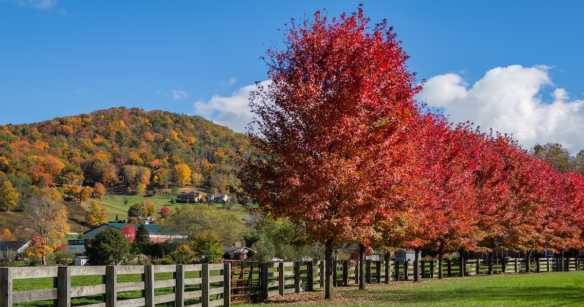 Visit This Charming Mountain Town in North Carolina This Fall