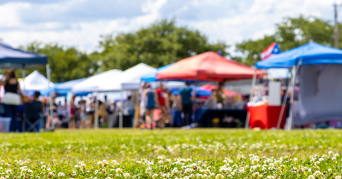 The Best Fall Festivals in North Carolina for 2025