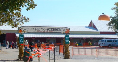 Don't Miss The 10 Best Pumpkin Patches In Illinois