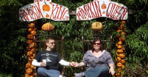 The Great Pumpkin Patch: Largest Pumpkin Patch in Illinois