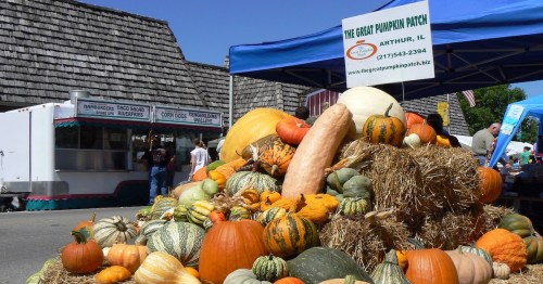 The Great Pumpkin Patch: Largest Pumpkin Patch in Illinois