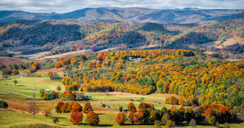 Virginia Fall Colors Guide 2025