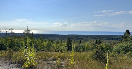 4 Underrated National Forest Hikes in Minnesota
