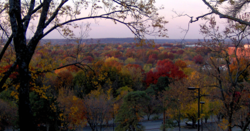Best Times and Places to View Fall Foliage in Kansas: 2025 Guide