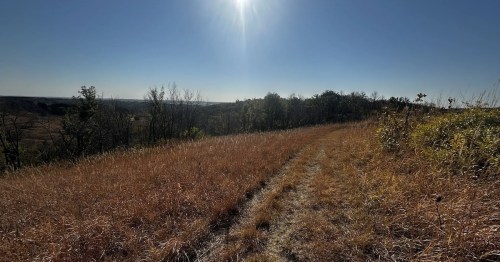 You'll Love These 4 Hikes in Iowa's State Forests