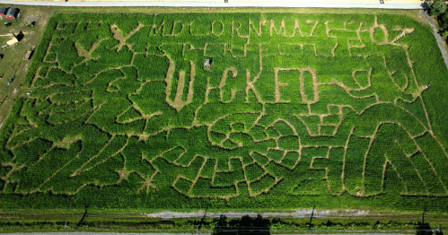 You Must Visit The Maryland Corn Maze This Fall