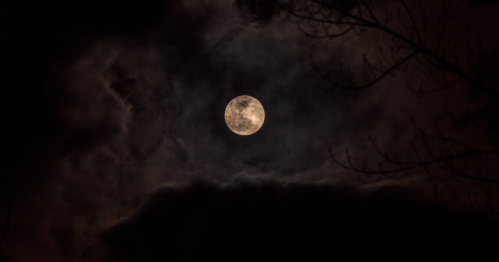 Wisconsin's Creepiest Urban Legends: Haunted Roads, Beasts, and Myths.