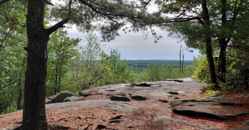 6 Underrated Connecticut State Forest Hikes