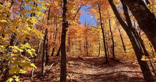 Explore Oberg Mountain Loop: Minnesota's Fall Foliage Wonderland