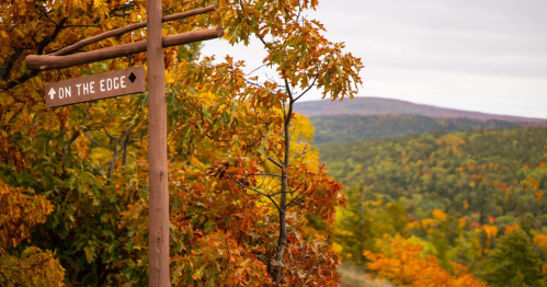 The Most Scenic Road Trip Along The Michigan East Coast