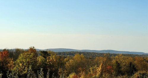 Windy Brow Farms: Best Apple Cider Donuts In New Jersey