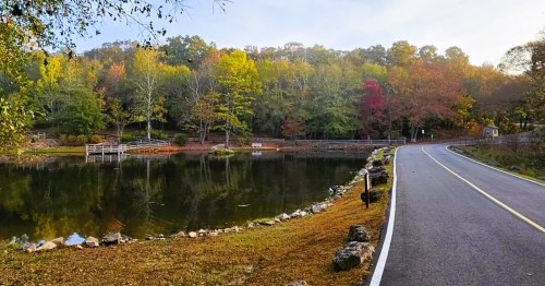 Things to Do in Royston, GA: A Charming Small Town in Georgia