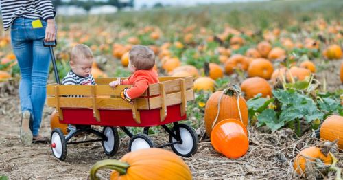 Best Fall Festivals in Arkansas That Are a Must-Visit in 2025