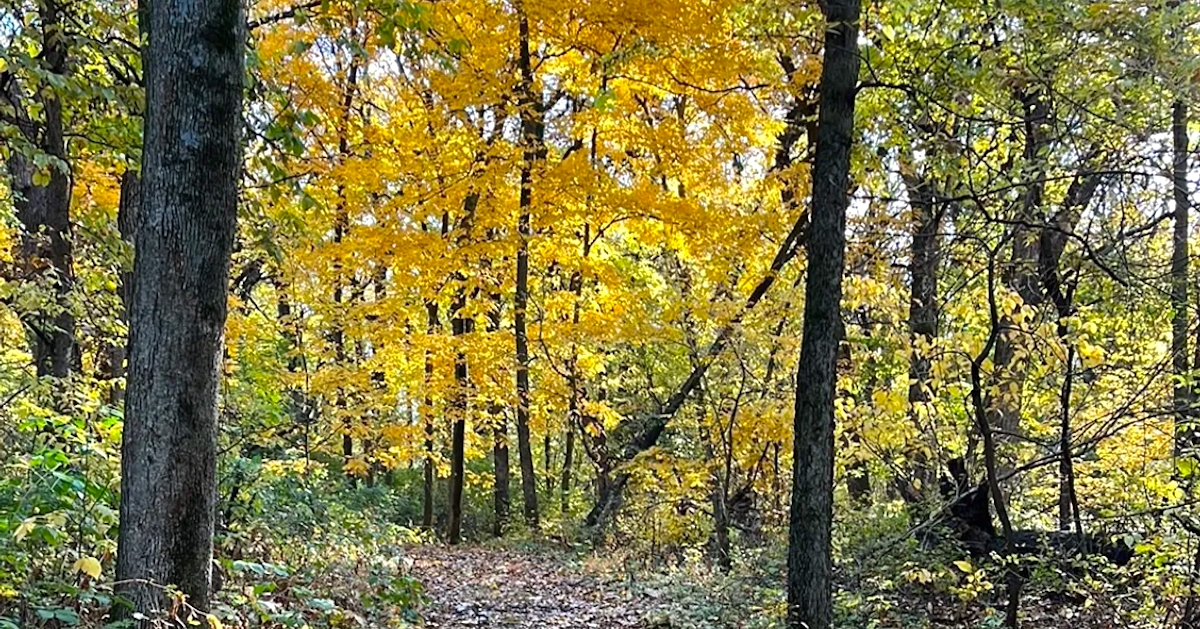 Autumn in Forest City, Iowa, Is a Beautiful Thing